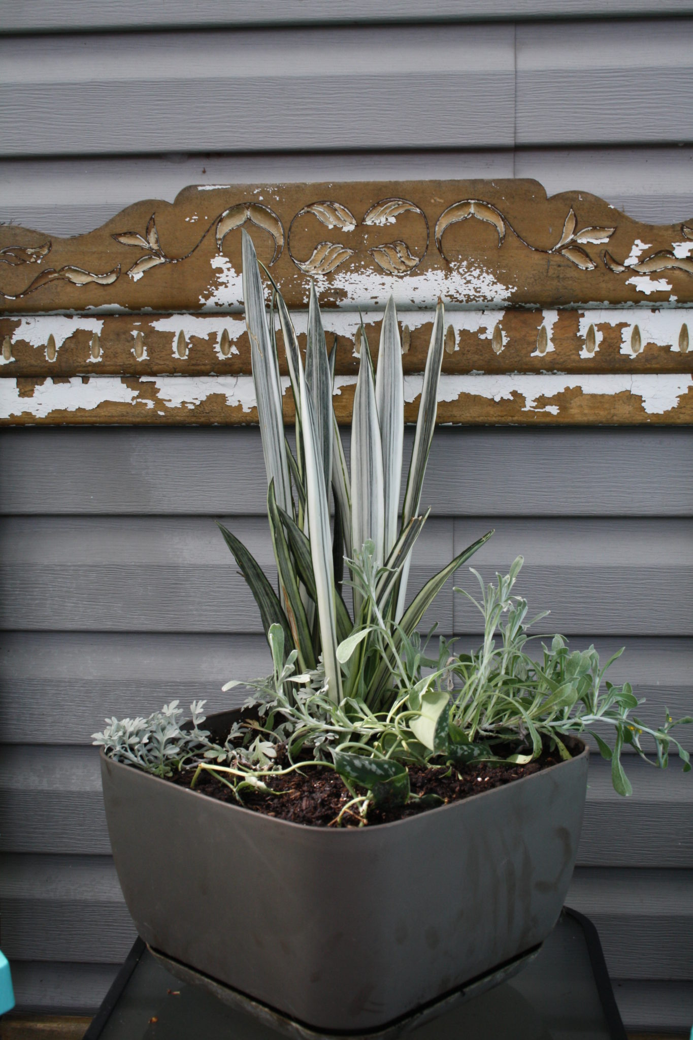 Soothing Silver Green Planter - The Salty Knitter