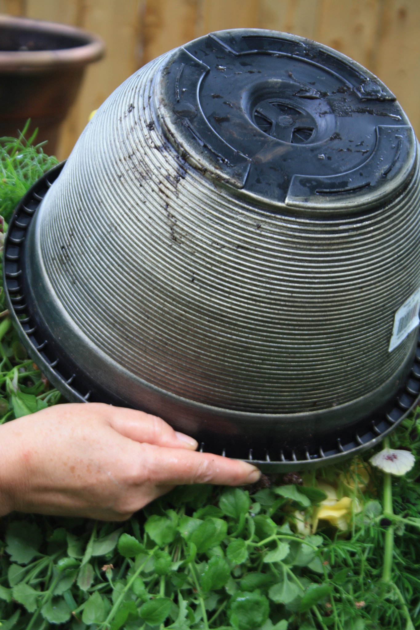 Gorgeous Instant Patio Planter! - The Salty Knitter