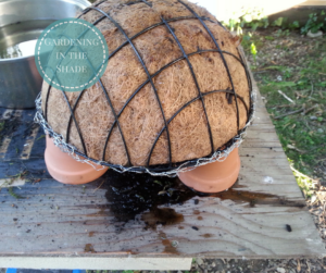 How to Make A Succulent Turtle Topiary - The Salty Knitter