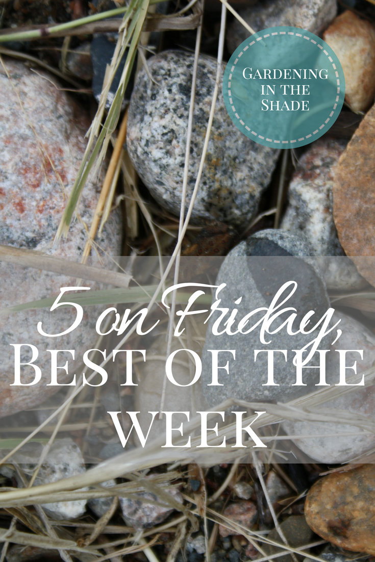 Five on Friday March 31st - Gardening in the Shade