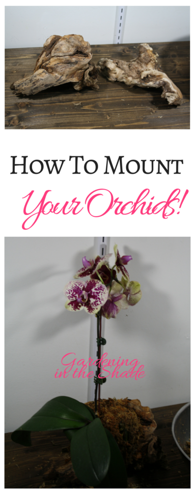 How to Mount an Orchid - The Salty Knitter