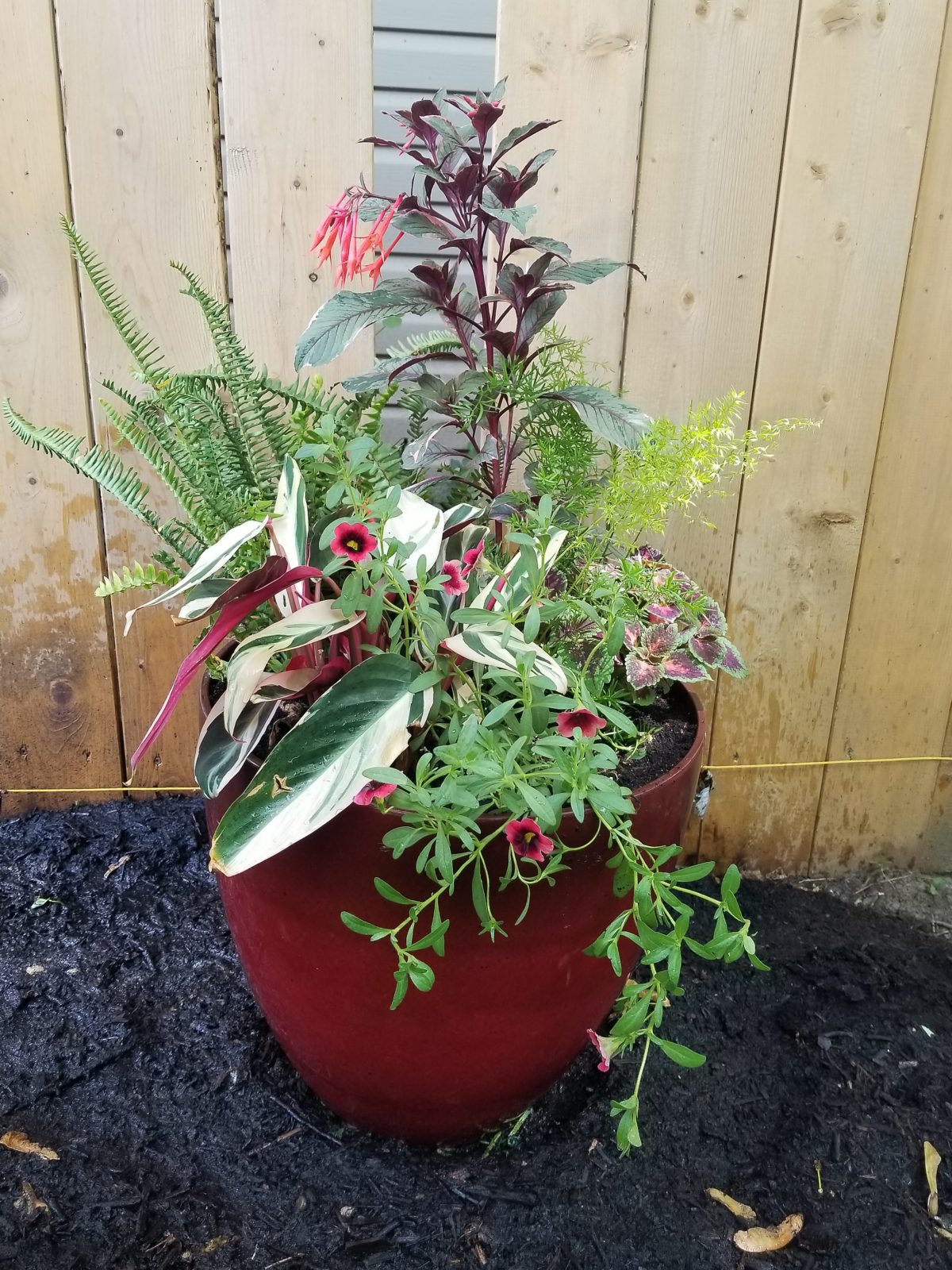 Shade Planter in Red - Gardening in the Shade
